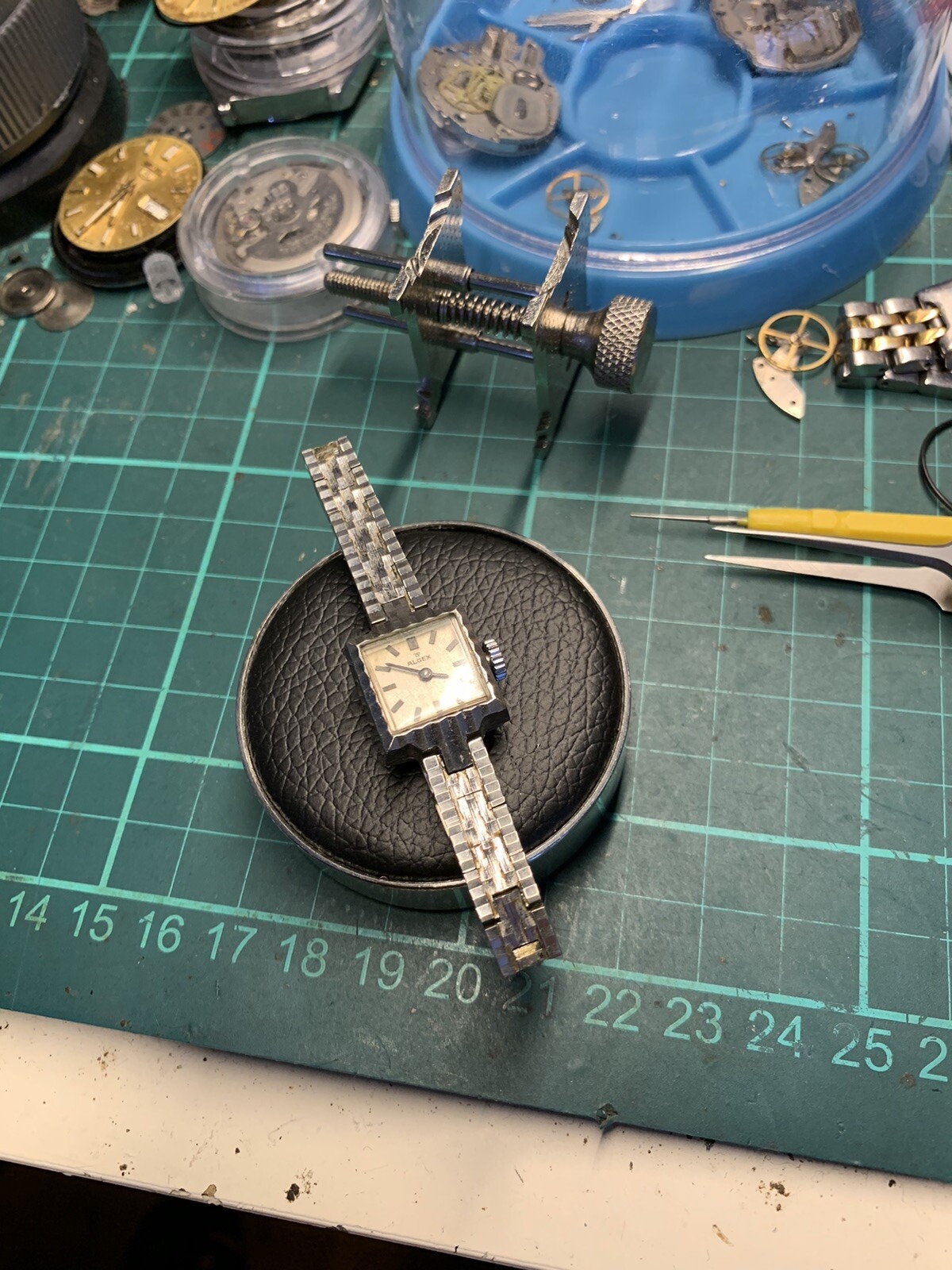 Algex Mechanical Womens Watch – Stellar Stride Watches